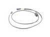 Genuine BMW - 54377148150 - HALL SENSOR (54-37-7-148-150)