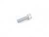 Genuine Porsche - N91150001 - PAN-HEAD SCREW