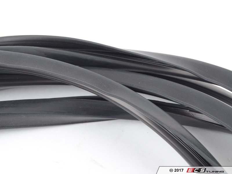 Genuine Volkswagen Audi - 701845121J - Windshield Gasket (701 845 121 J)