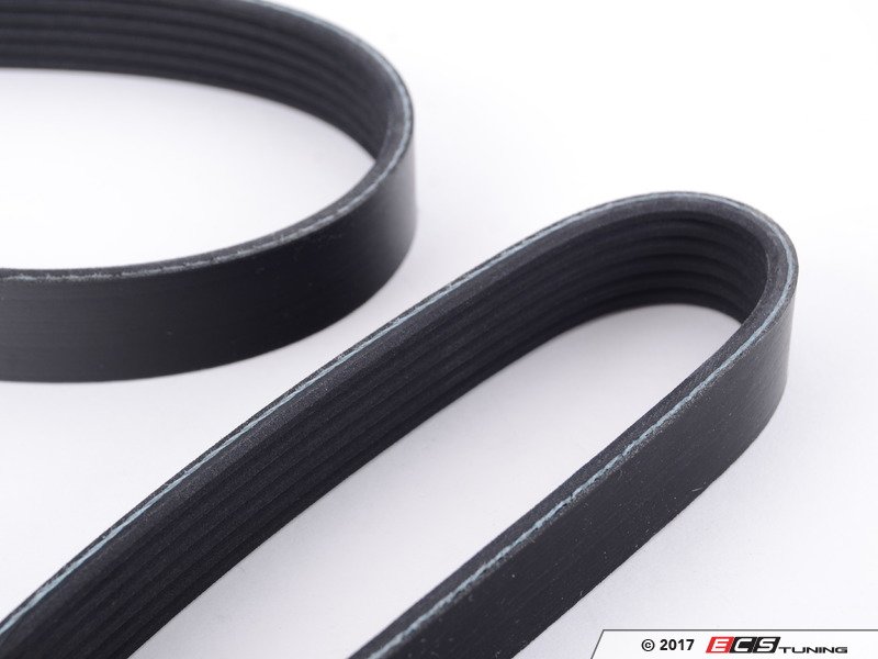 Gates - 11287628650 - Accessory Belt