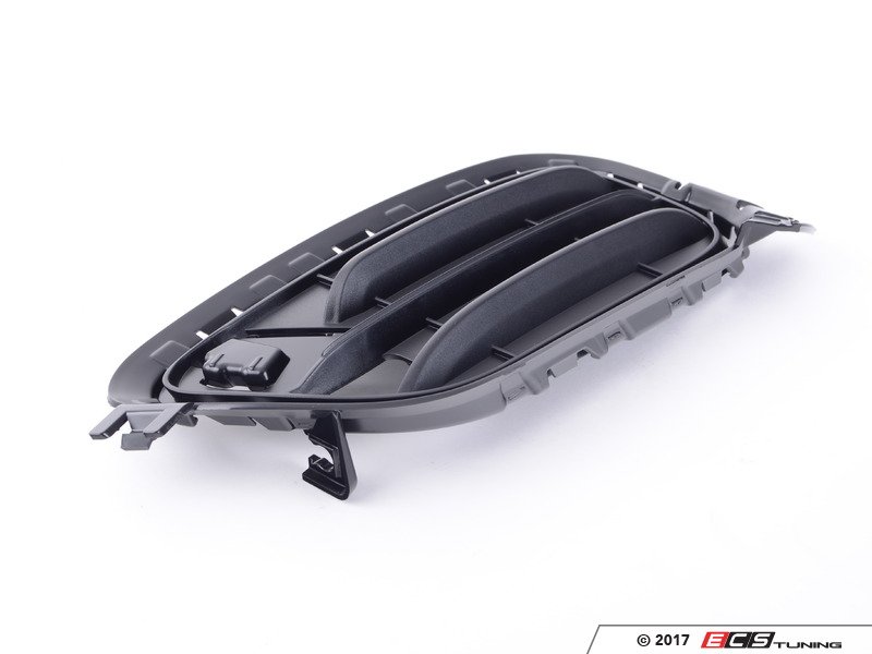 Genuine BMW - 51117347945 - GRID LATERAL LEFT (51-11-7-347-945)