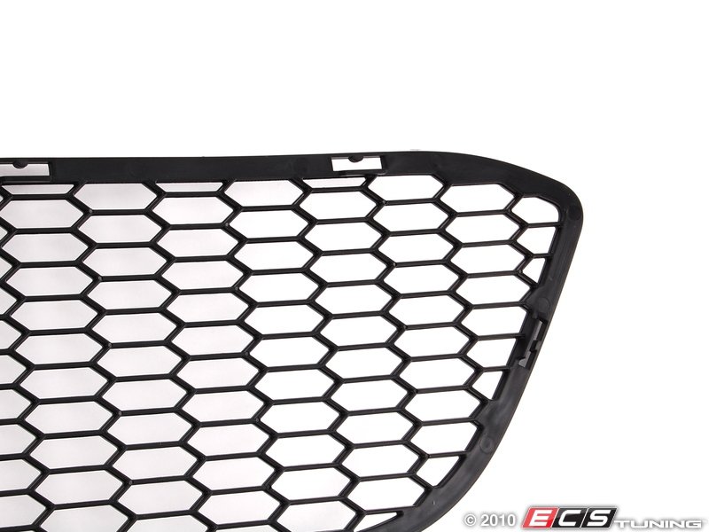 Genuine BMW - 51118041179 - Bumper Grill - Center (51-11-8-041-179)