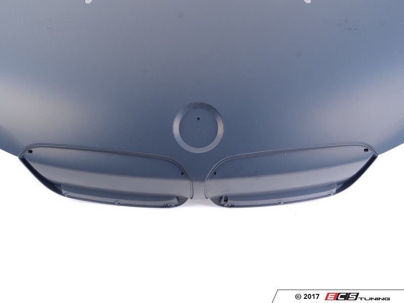 Genuine BMW - 51237375891 - Hood (51-23-7-375-891)