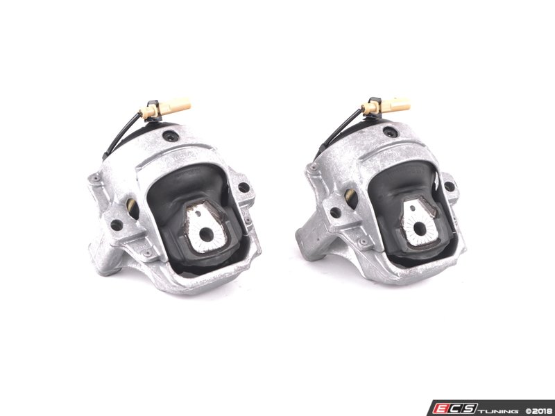 Genuine Volkswagen Audi - 8r0198381bKT1 - Engine Mount Kit (8r0 198 381 ...