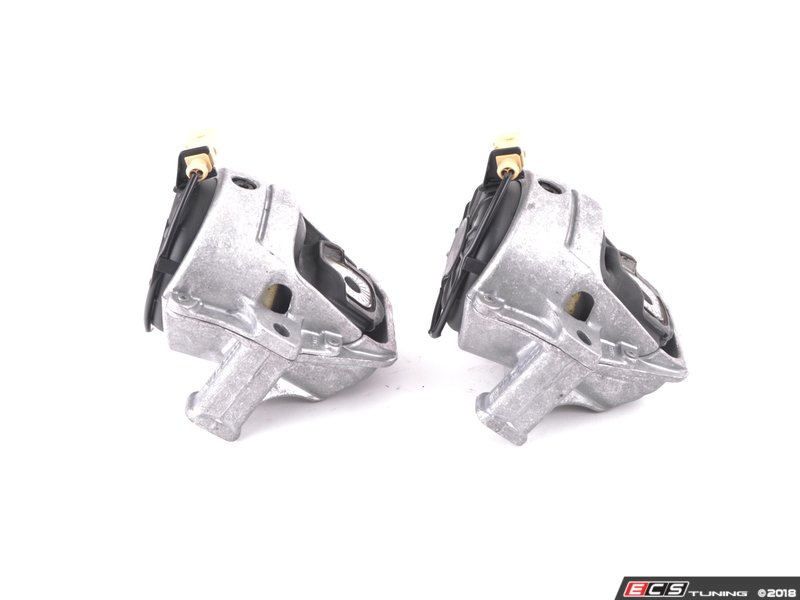 Genuine Volkswagen Audi - 8r0198381bKT1 - Engine Mount Kit (8r0 198 381 ...