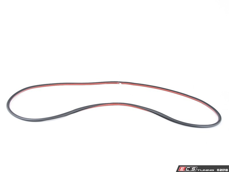 Genuine BMW - 51767221844 - Rear Door seal - left (51-76-7-221-844)