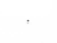 Genuine MINI - 11127606504 - DOWEL (11-12-7-606-504)