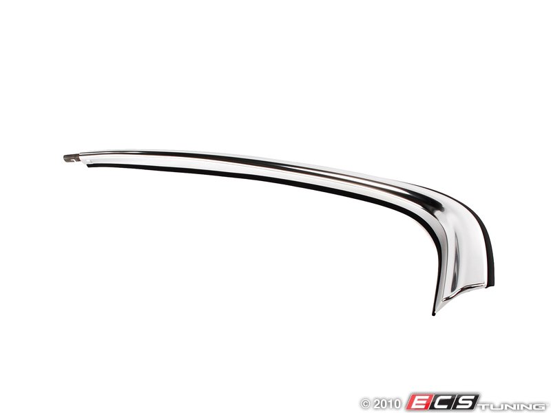 Genuine BMW - 51138125469 - Window Molding - Left (51-13-8-125-469)