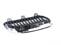 Genuine BMW - 51137254969 - Grille - Chrome Frame and Grille (51-13-7 ...