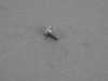 Genuine Volkswagen Audi - N10335206 - BOLT (N 103 352 06)