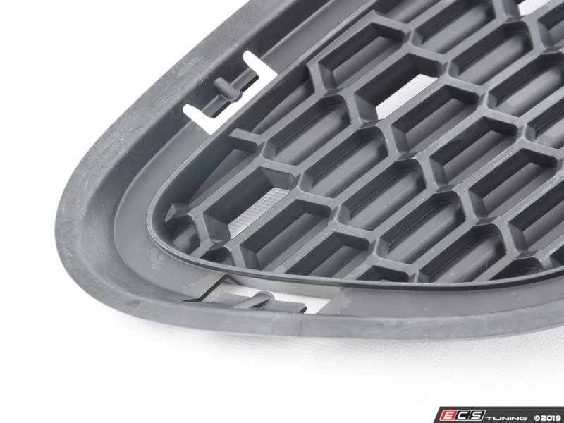 Genuine BMW - 51118038091 - GRID LATERAL LEFT (51-11-8-038-091)