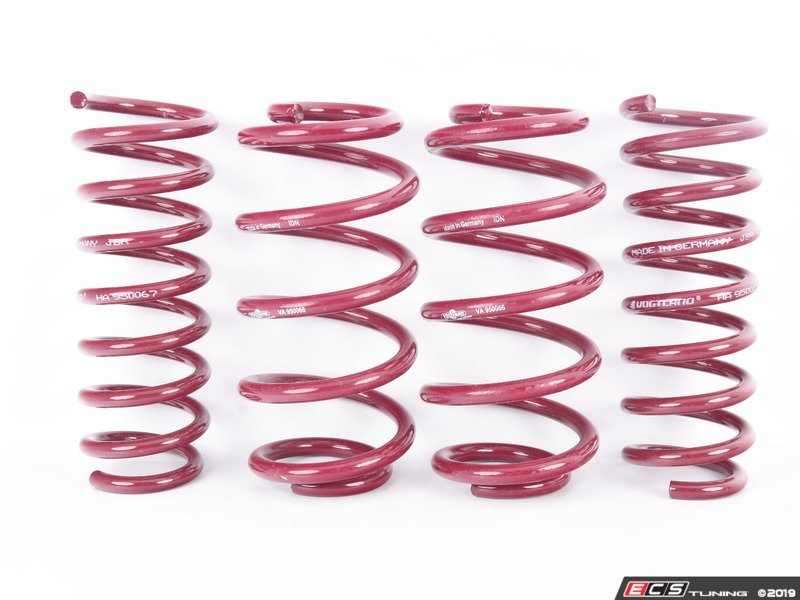 VOGTLAND - 950065 - VOGTLAND Sport Spring Set - (NO LONGER AVAILABLE)