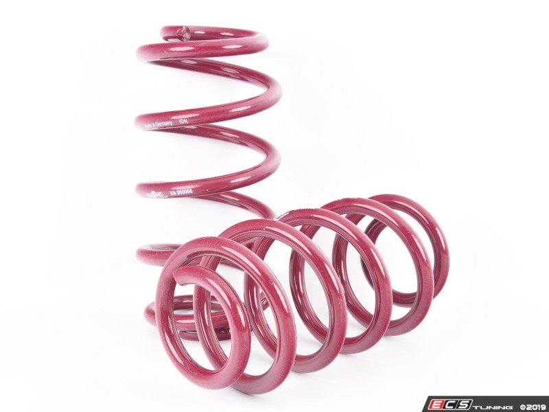 VOGTLAND - 950065 - VOGTLAND Sport Spring Set - (NO LONGER AVAILABLE)