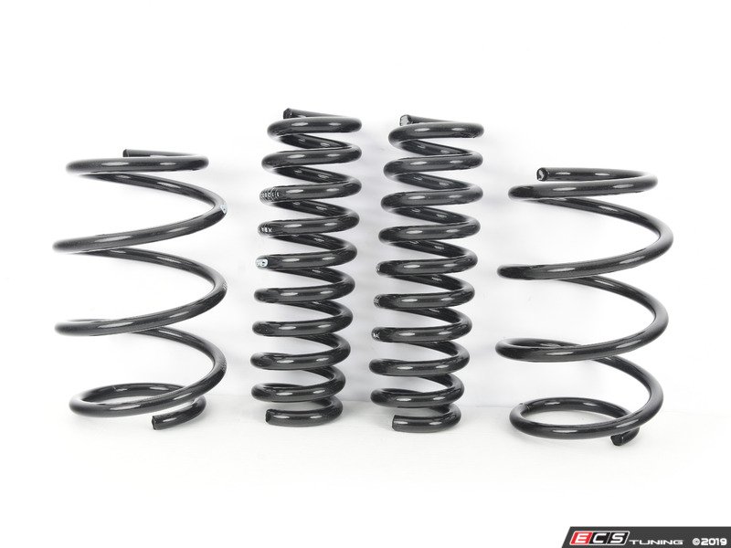 Eibach - E10-20-031-02-22 - Eibach Pro-Kit Performance Springs