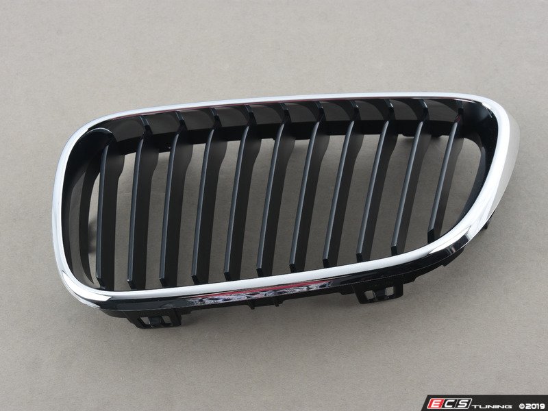 Genuine BMW - 51137295521 - Front Grill - Left - Basis (51-13-7-295-521)