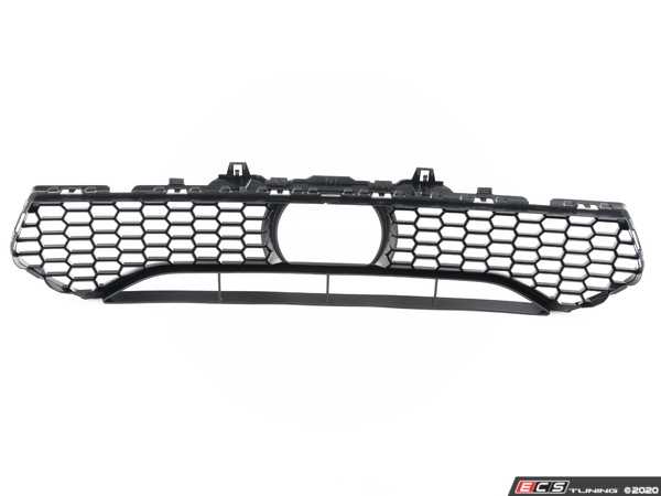 Genuine BMW - 51118072980 - Grill - Air Intake - Center (51-11-8-072-980)