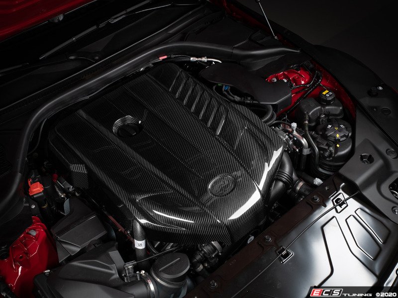 Turner Motorsport - 000002LB01A - Turner Motorsport Carbon Fiber Engine ...