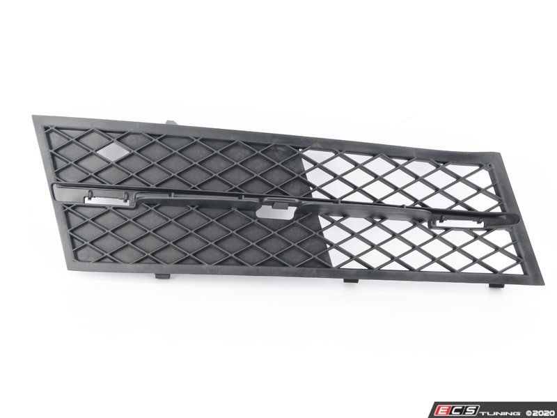 Genuine BMW - 51117200700 - GRILL, AIR INTAKE, P (51-11-7-200-700)