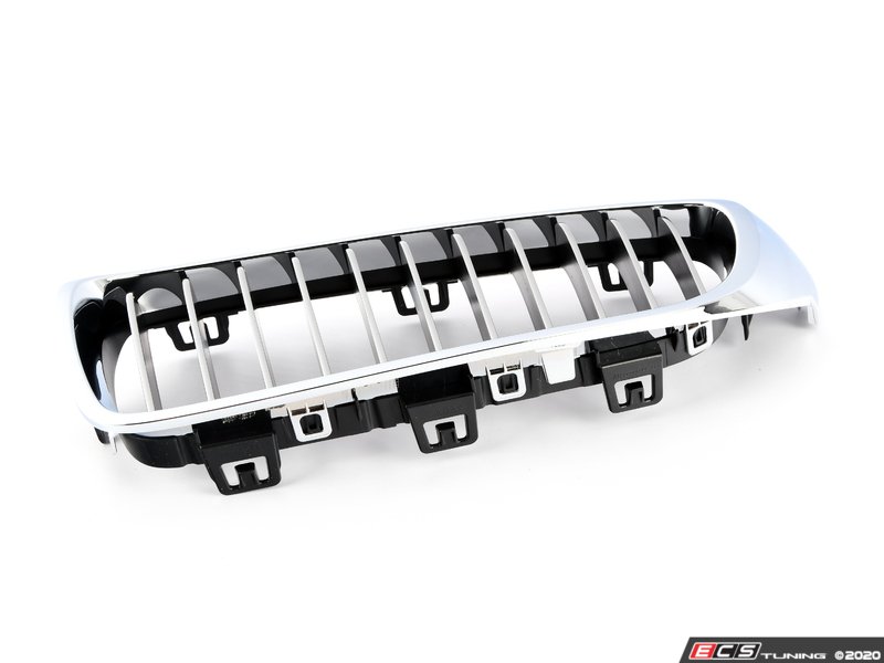 Genuine BMW - 51135A3D023 - Kidney Grille - Left (51-13-5-A3D-023)