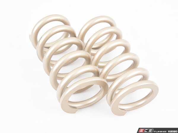 BC Racing - 62-203-X - Rear Swift Spring - Set - (NO LONGER AVAILABLE)