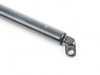 Genuine BMW - 51248222913 - Trunk Strut - Priced Each (51-24-8-222-913)