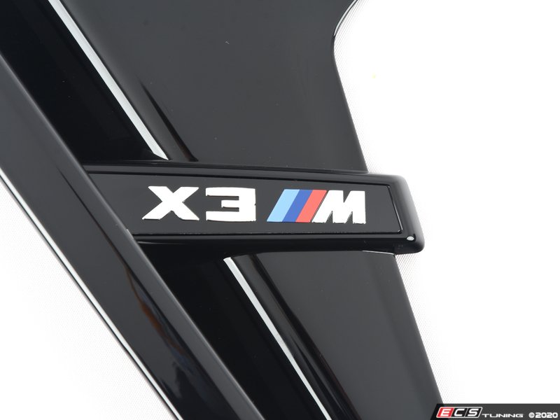 Genuine BMW - 51138098089 - Genuine BMW Grille (51-13-8-098-089)