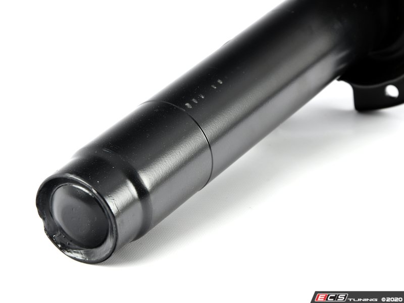 Sachs - 31316874373 - Strut - Front Left