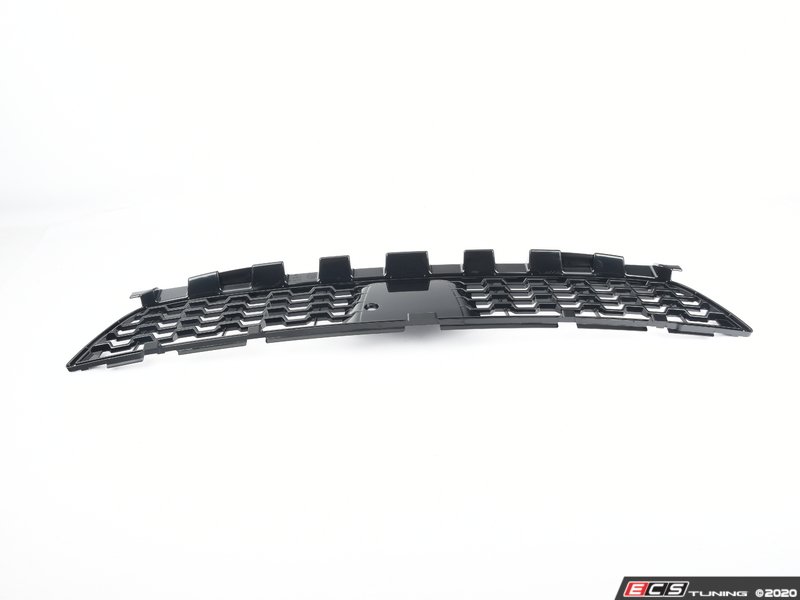 Genuine BMW - 51118061124 - Grill - Air Intake - Center (51-11-8-061-124)