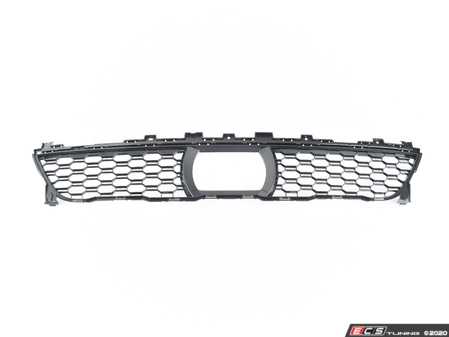 Genuine BMW - 51118069888 - GRILL, CENTER, FOR ACC, LOWE (51-11-8-069-888)