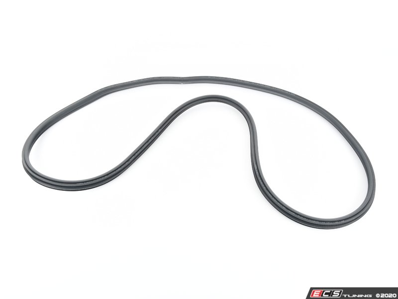 Genuine BMW - 51727497912 - EDGE PROTECTION, DOOR, FRONT (51-72-7-497-912)