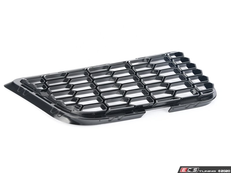 Genuine BMW - 51118065318 - GRILL, AIR INTAKE, O (51-11-8-065-318)