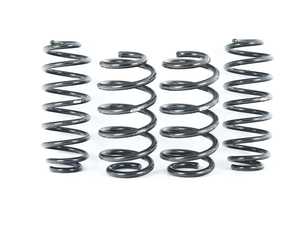 Audi B8/B8.5 S4 Quattro 3.0T Lowering & Replacement Springs - ECS Tuning