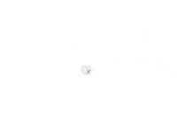 Genuine BMW - 83192457307 - PUNCH RIVET N4 (83-19-2-457-307)