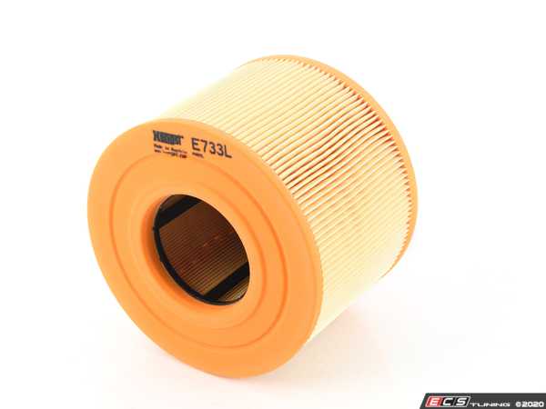Hengst - 13717536006 - BMW | Air filter
