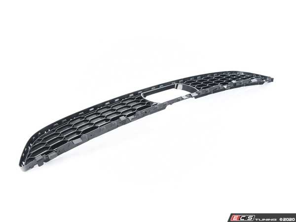 Genuine BMW - 51118064931 - Grill - Air Intake - Center (51-11-8-064-931)