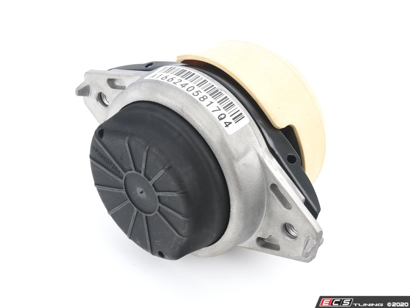 Rein - 1662405817 - Engine Mount - Left