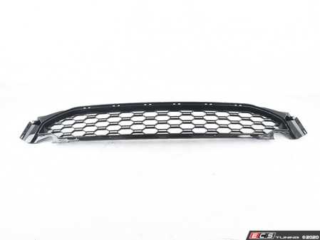 Genuine BMW - 51118064599 - Grill - Air Intake - Center (51-11-8-064-599)