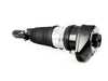 Genuine BMW - 37107915965 - AIR SPRING STRUT, FRONT LEFT (37-10-7-915-965)