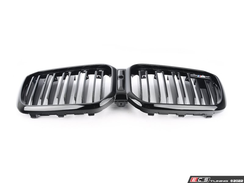 Genuine BMW - 51135A36BD0 - FRONT ORNAMENTAL GRILLE BLAC (51-13-5-A36-BD0)