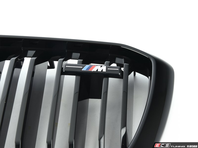 Genuine BMW - 51135A36BD0 - FRONT ORNAMENTAL GRILLE BLAC (51-13-5-A36-BD0)