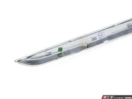 Genuine BMW - 51127389971 - TRIM STRIP, BUMPER, (51-12-7-389-971)