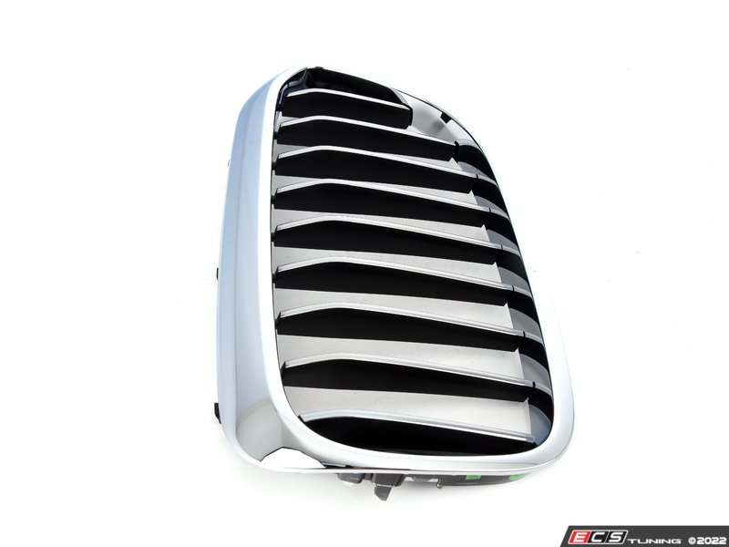 Genuine BMW - 51137383519 - Grille (51-13-7-383-519)
