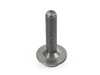 Genuine Volkswagen Audi - 4F0598625B - BEARING (4F0 598 625 B)