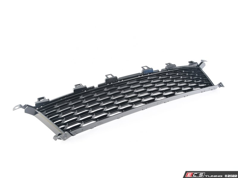 Genuine BMW - 51118069367 - Grill - Air Intake - Center (51-11-8-069-367)