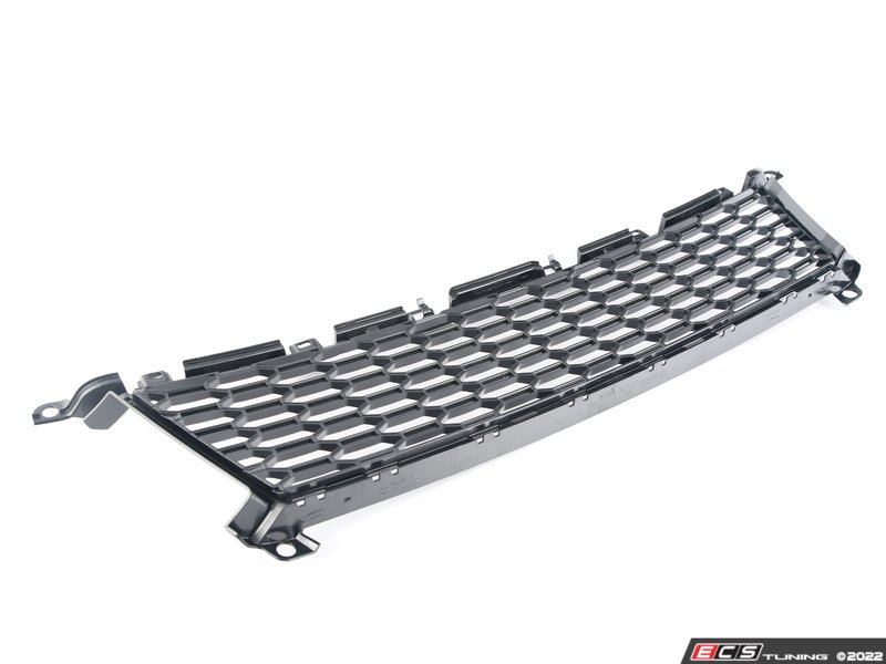 Genuine BMW - 51118069367 - Grill - Air Intake - Center (51-11-8-069-367)