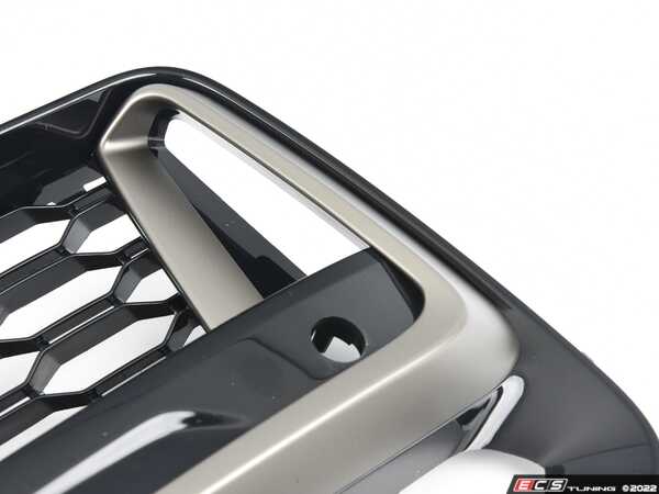 Genuine BMW - 51115A1ACA6 - GRID LATERAL RIGHT (51-11-5-A1A-CA6)