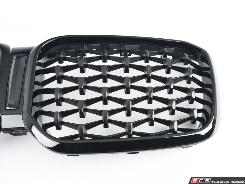 Genuine BMW - 51135A1AC59 - GRILL FRONT (51-13-5-A1A-C59)