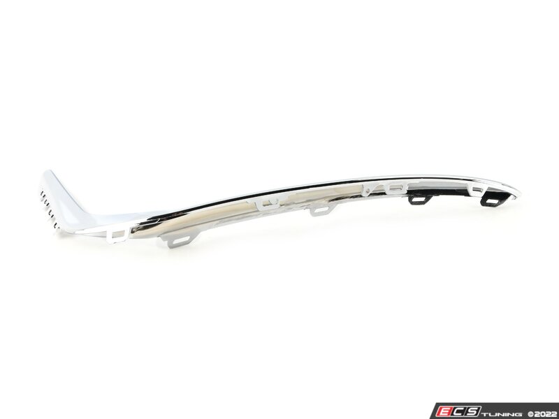 Genuine BMW - 51117475196 - PROTECTIVE RUBBER STRIP,RGHT (51-11-7-475-196)