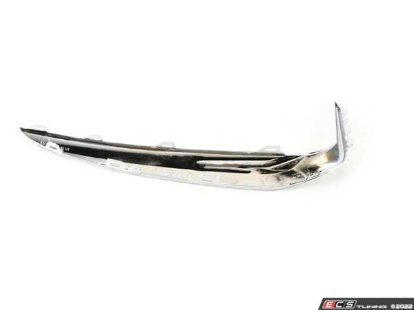 Genuine BMW - 51117475196 - PROTECTIVE RUBBER STRIP,RGHT (51-11-7-475-196)