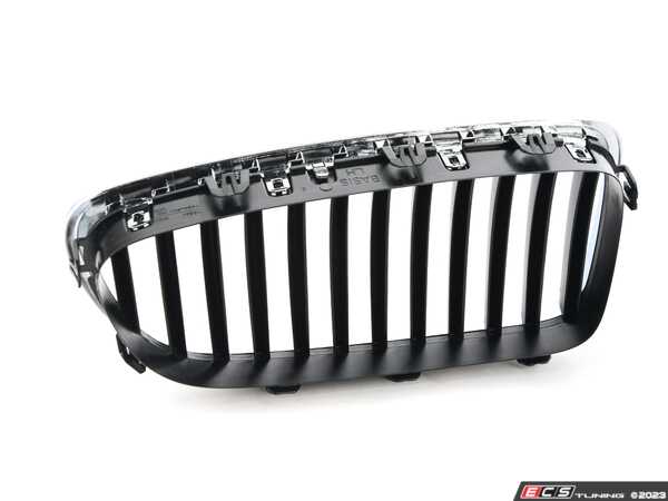 Genuine BMW - 51137203649 - Grille (Chrome) (51-13-7-203-649)